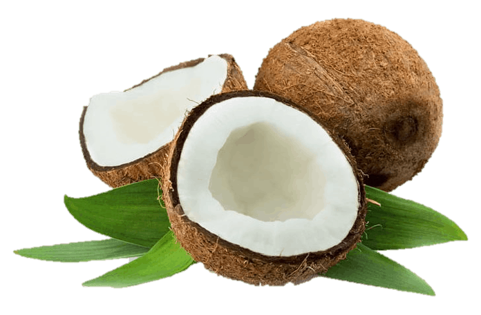 Coconut Products from Indonesia - PT Indococo Global Makmur